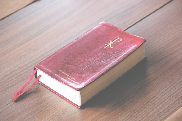 How Much Does A Bible Cost? - The Witness