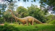 How Do Christians Explain Dinosaurs? - The Witness