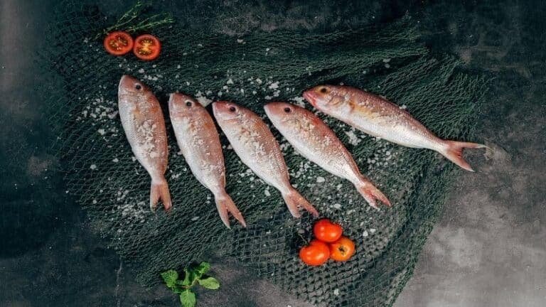 Why Do Christians Eat Fish On Friday? - The Witness