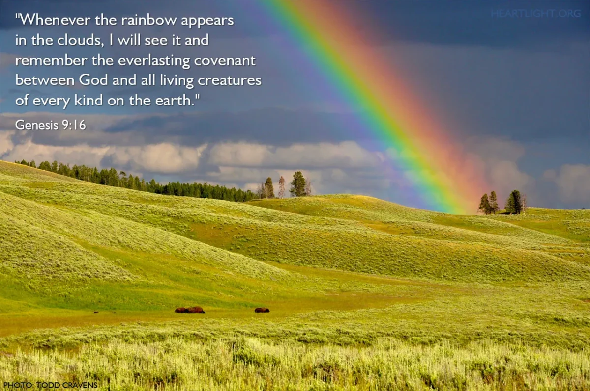 Rainbow In Bible 2024 